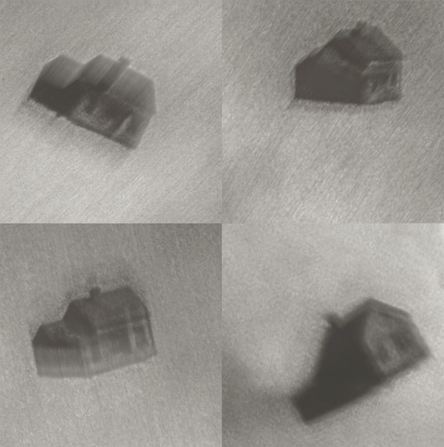 Robert Fishman - 306 - Redwood Online Art Fair